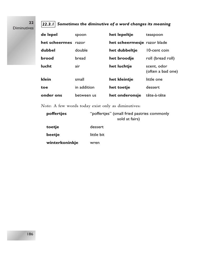 Dutch Essential Grammar Passive Voice | PDF | Verb | Grammatical Tense