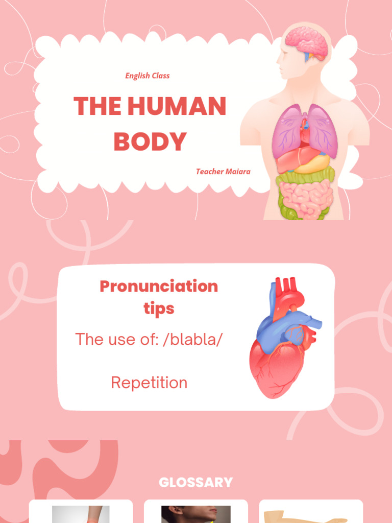 Human Body Vocabulary and Pronunciation Guide | PDF