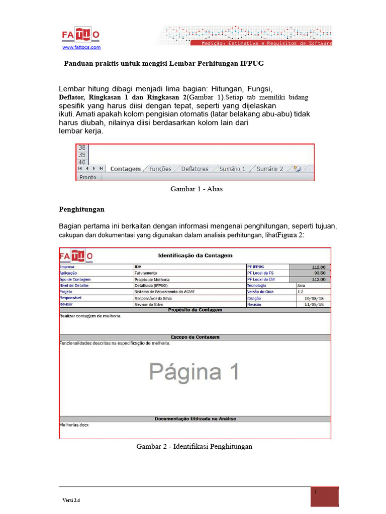 Panduan Lembar IFPUG | PDF