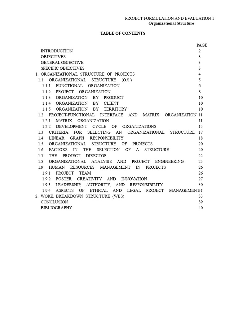 Project Organizational Structure | PDF | Organizational Structure | Project Management