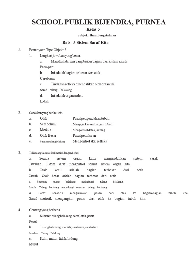 Kelas 5 Mata Pelajaran Sains Bab 5 Sistem Saraf Kita | PDF