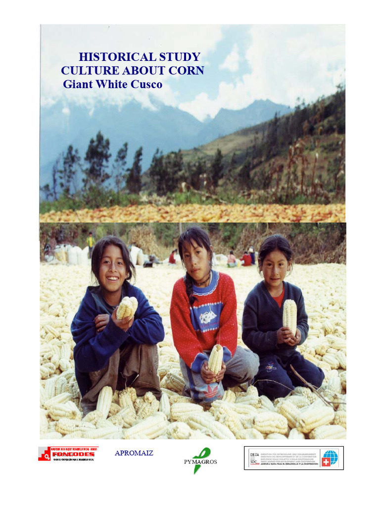 Giant White Corn of Cusco: A Cultural History | PDF | Maize