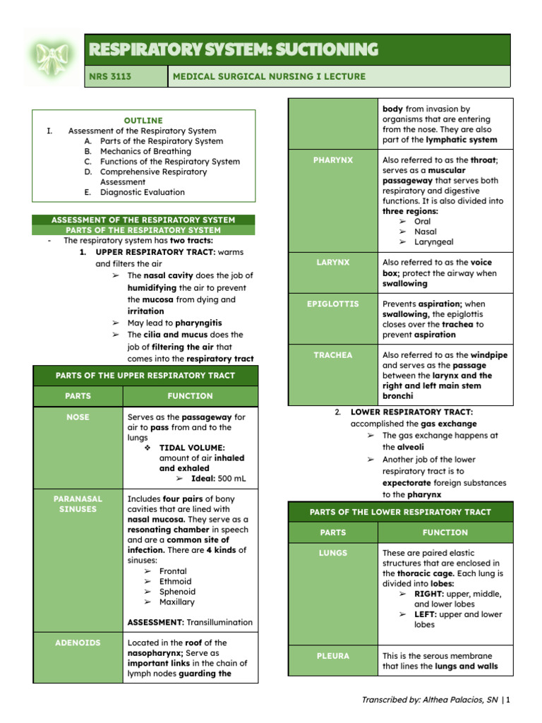 (Ms Lec) Respiratory System | PDF | Respiratory Tract | Lung