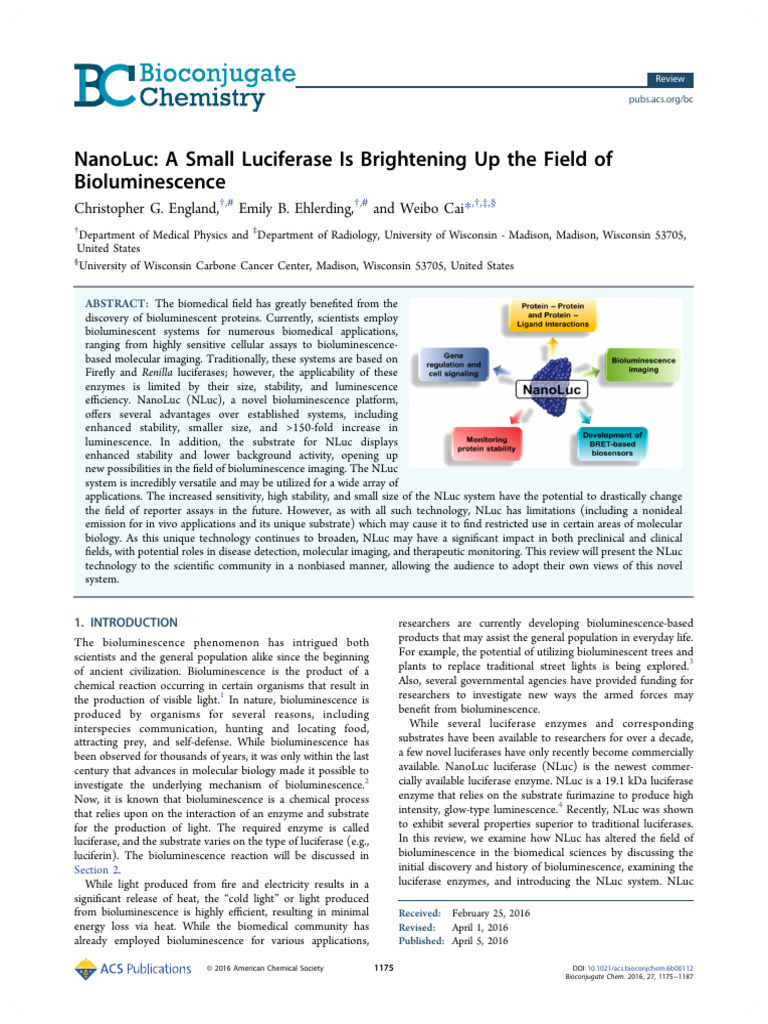 England Et Al 2016 Nanoluc A Small Luciferase Is Brightening Up The ...