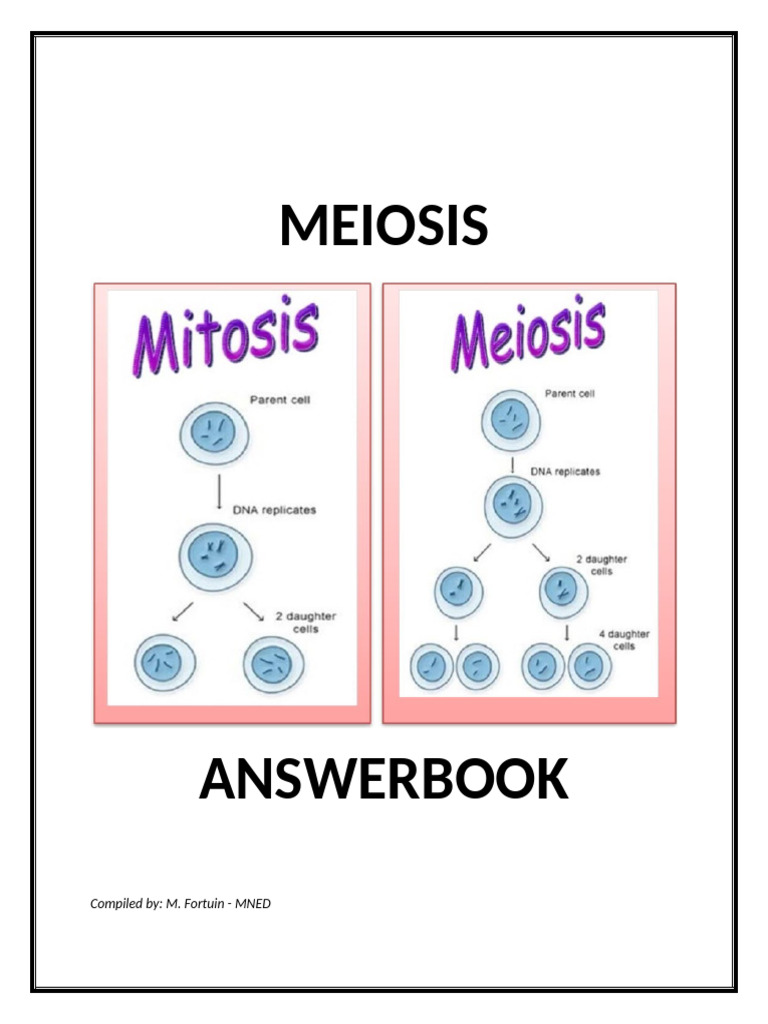 Meiosis Revision - 2020 Answerbook | PDF | Meiosis | Chromosome