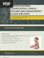 MAM, SAM, and GAM: Key Differences | PDF