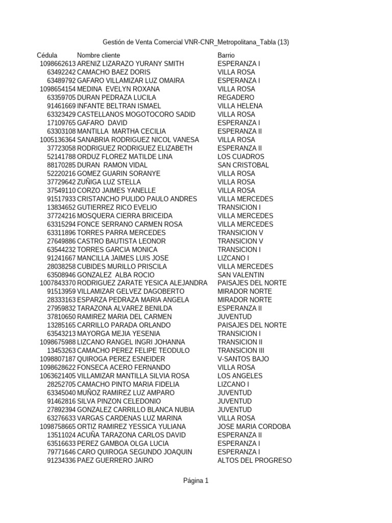 Gestión de Venta Comercial VNR-CNR - Metropolitana - Tabla (13) .CSV - 1 | PDF