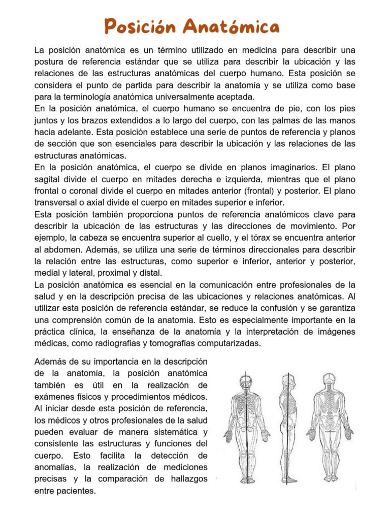 Posición Anatómica del Cuerpo Humano | PDF
