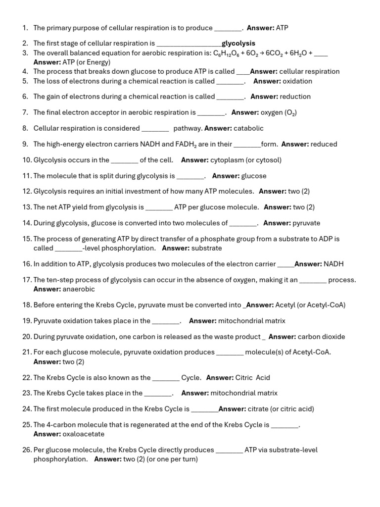 Test Cellular Respiration | PDF | Cellular Respiration | Adenosine ...