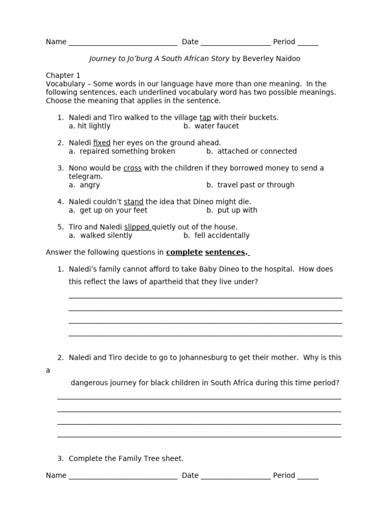 Vocabulary and Questions for Journey to Jo'burg | PDF | Johannesburg