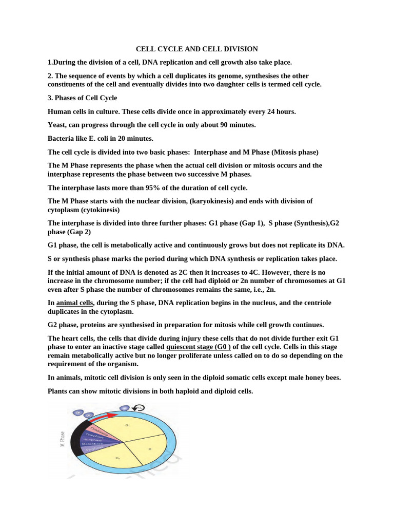 Understanding Cell Cycle and Division | PDF | Mitosis | Cell Cycle