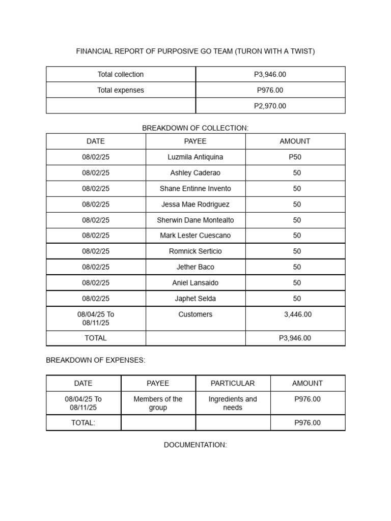 Financial Report: Purposive Go Team | PDF