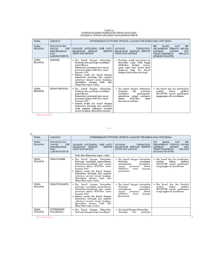Contoh Matriks Pembagian Peran Dan Hasil | PDF