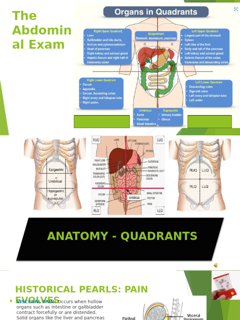 THE ABDOMINAL EXAM Checklist For Students | PDF | Diseases And ...