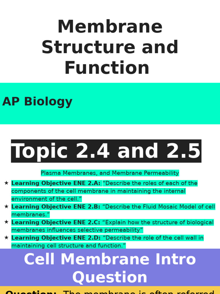 Membrane Structure and Function in Cells | PDF | Cell Membrane ...