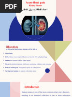 Non-Obstructing Nephrolithiasis Overview | PDF | Kidney | Medicine