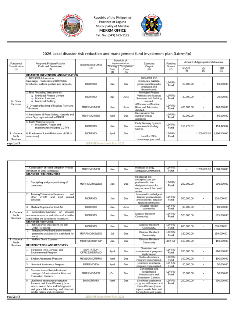 2026 LDRRM Fund Investment Plan | PDF