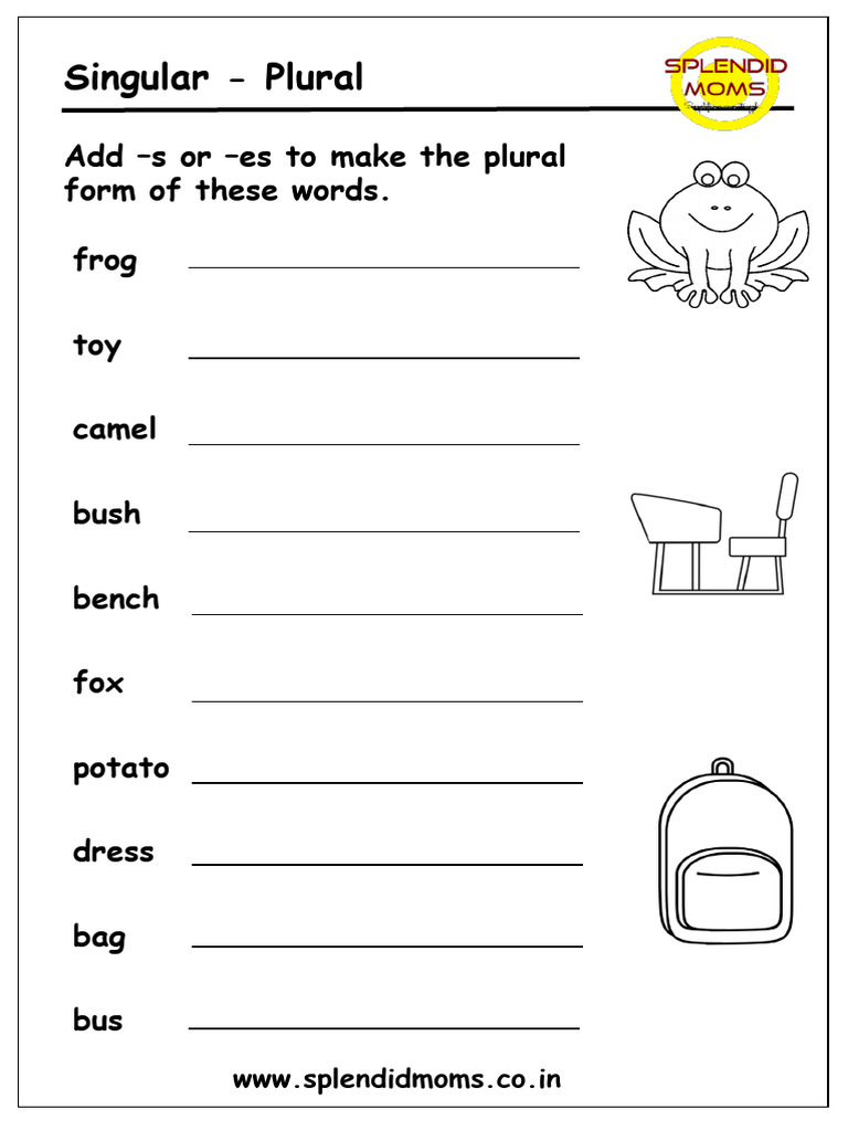 Singular Plurals Worksheets 2 Copy | PDF