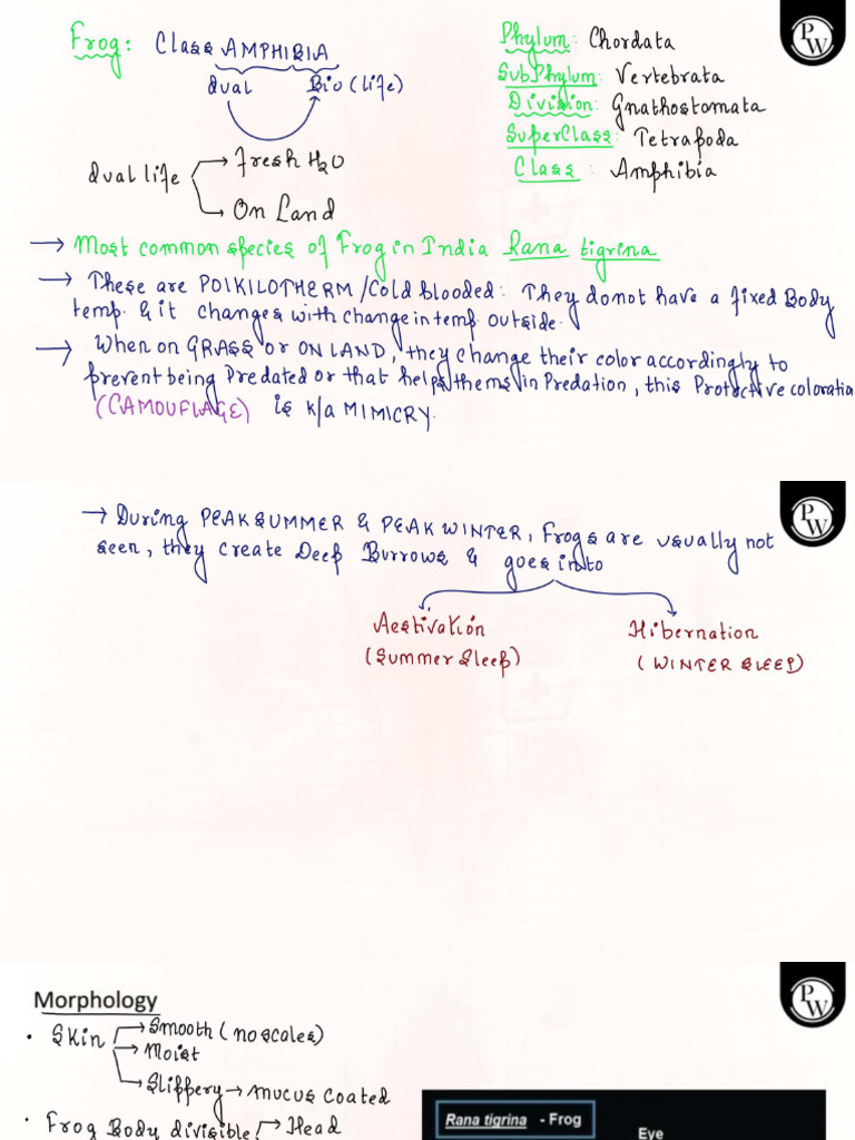Afrog & Cockroach - Invert Delete PDF Pages - 302 | PDF