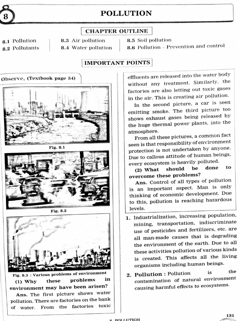 8th Science Lesson 8 | PDF