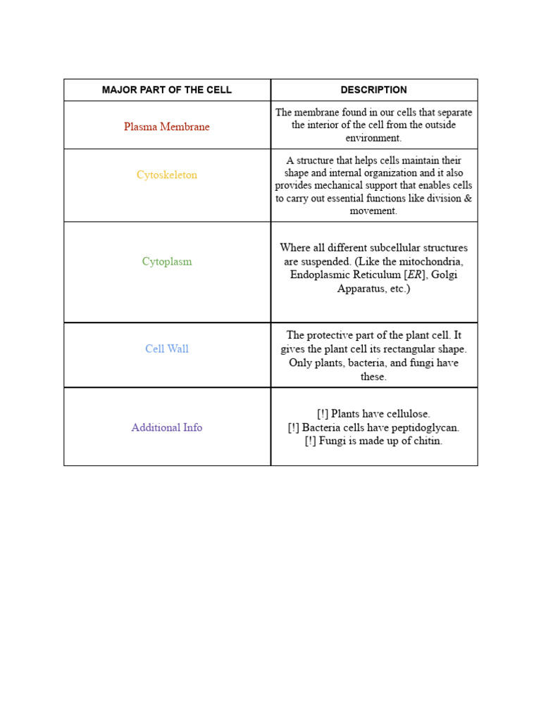 Major Cell Components Explained | PDF