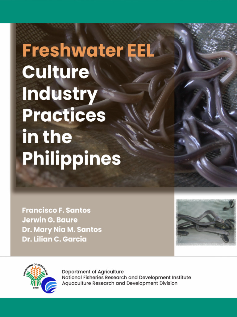 Freshwater Eel Culture in the Philippines | PDF | Filtration | Water