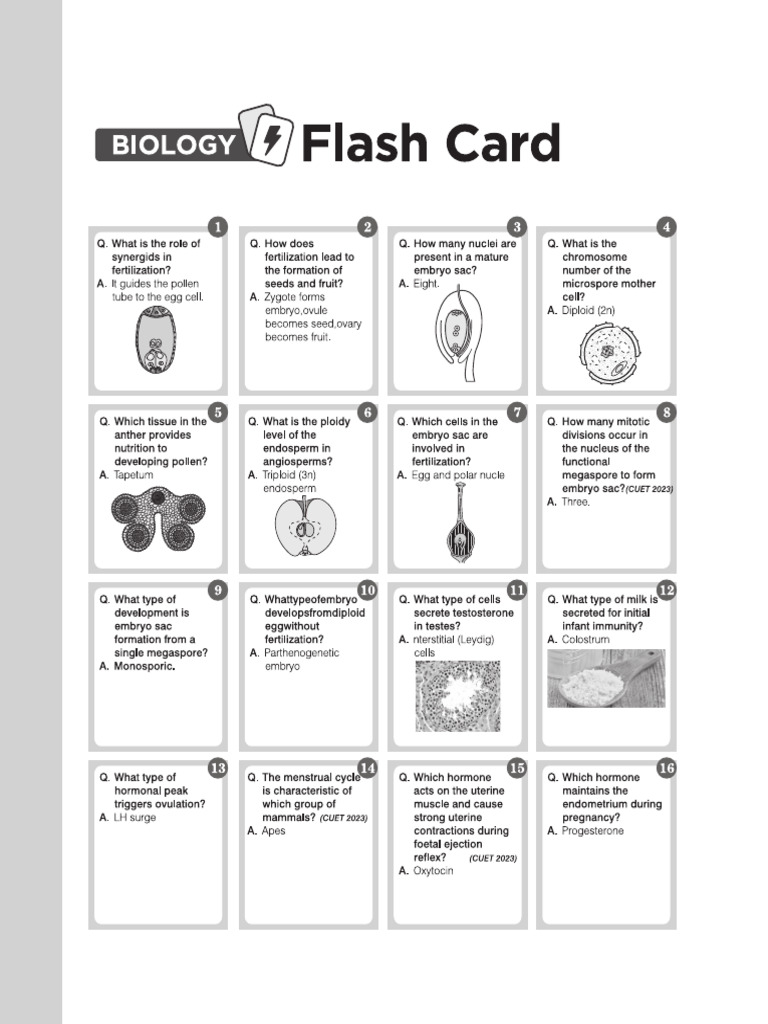 Flash Card | PDF