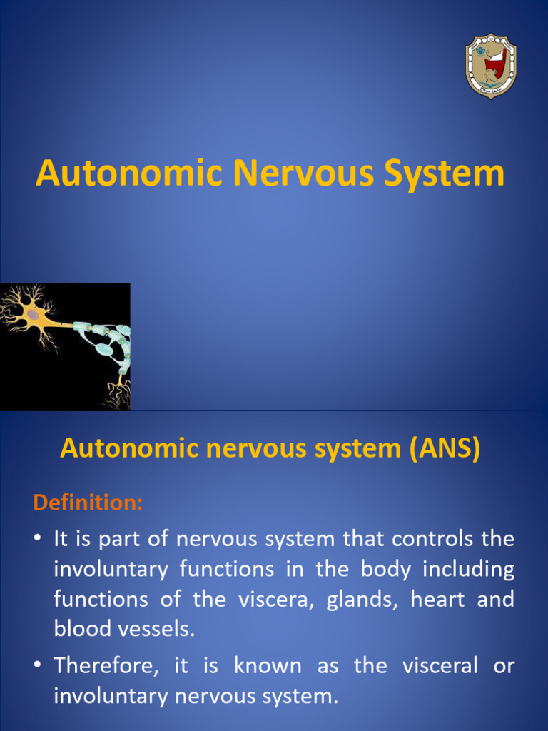 Overview of the Autonomic Nervous System | PDF | Autonomic Nervous ...