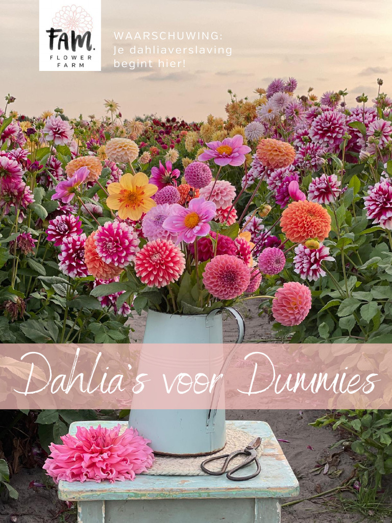Dahlias Voor Dummies 2022 Fam Flower Farm Pdf