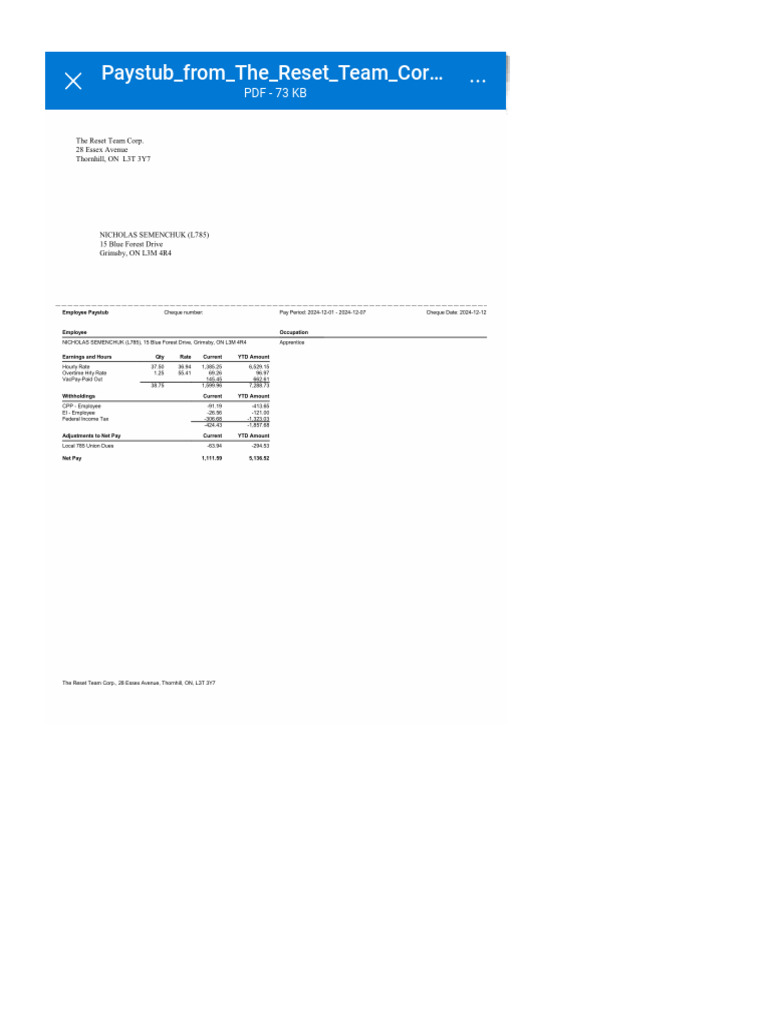 Paystub TRT Dec 13 | PDF