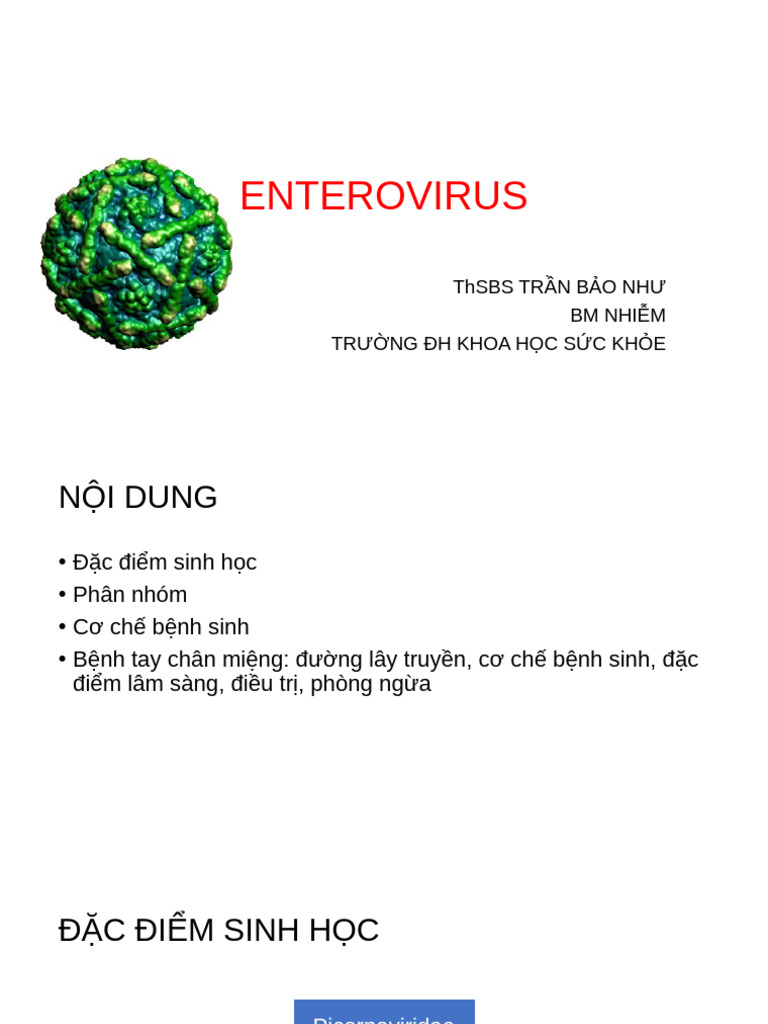 Enterovirus Svgbbn Yhct2024 1 | PDF
