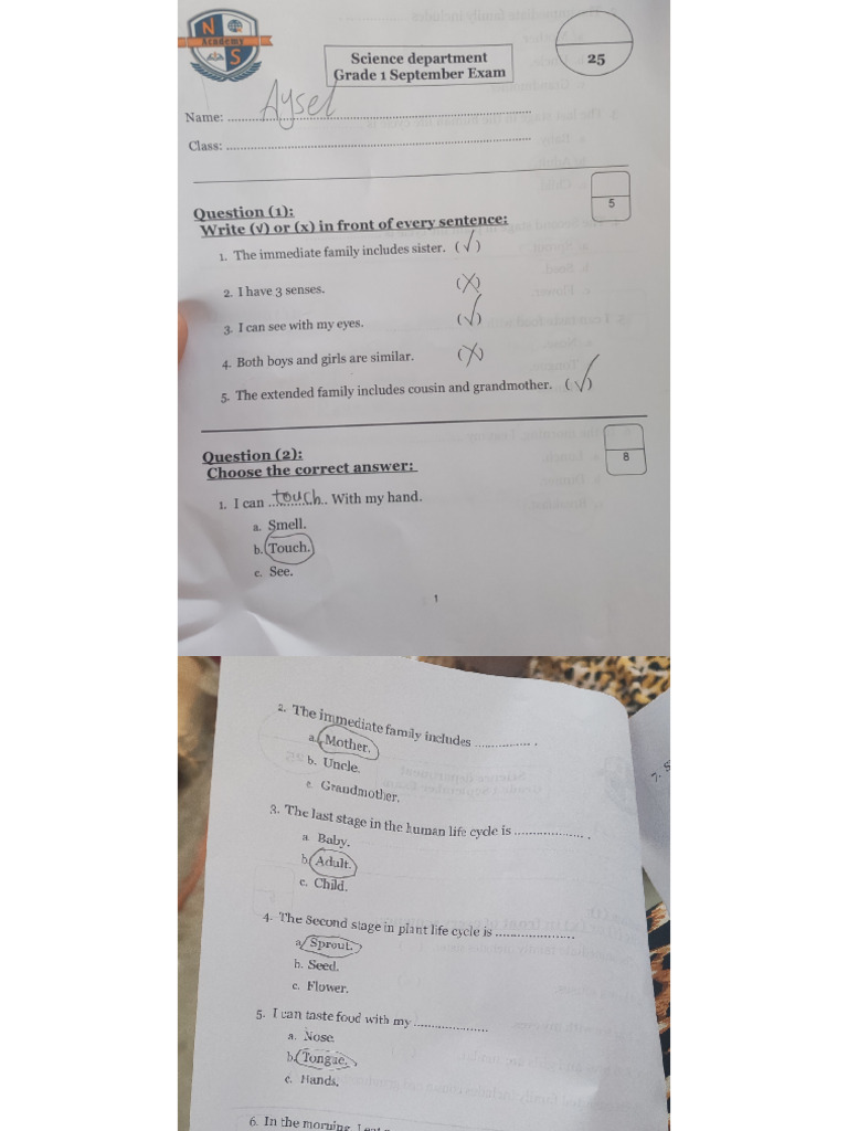Discover Exam | PDF