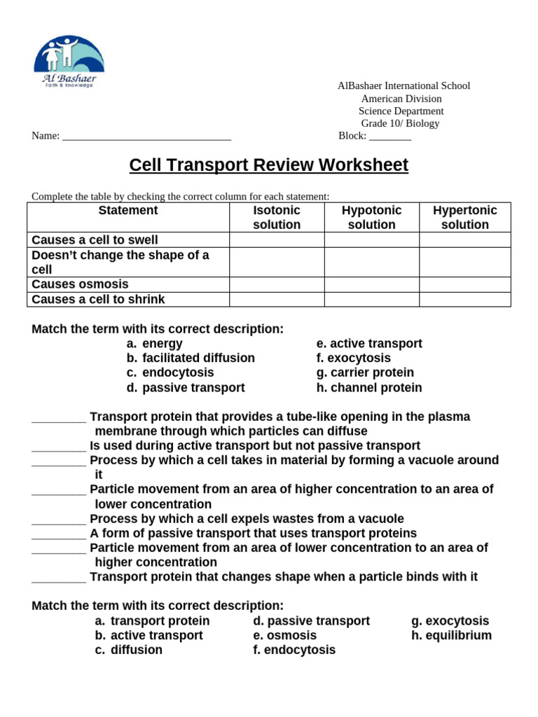 Cell Transport Review Worksheets | PDF | Osmosis | Cell Membrane