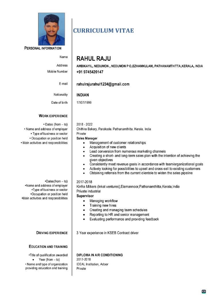 CV RAHUL RAJU | PDF