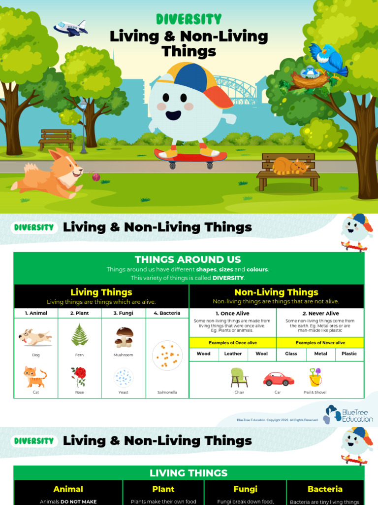 Diversity Living Things | PDF | Foods | Plants