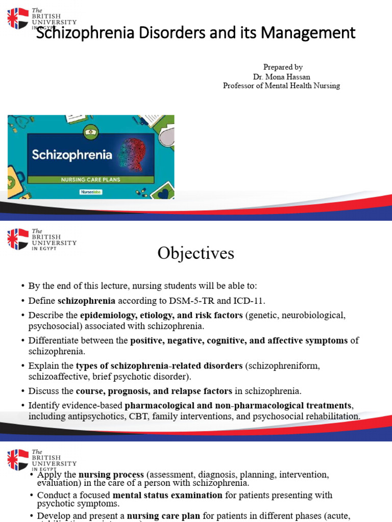 Word Salad in Schizophrenia Explained | PDF | Schizophrenia | Psychosis