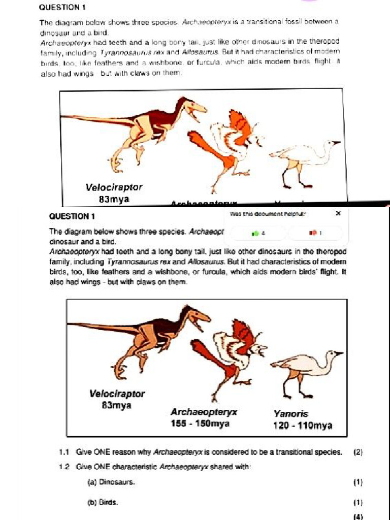 Life Science Test | PDF