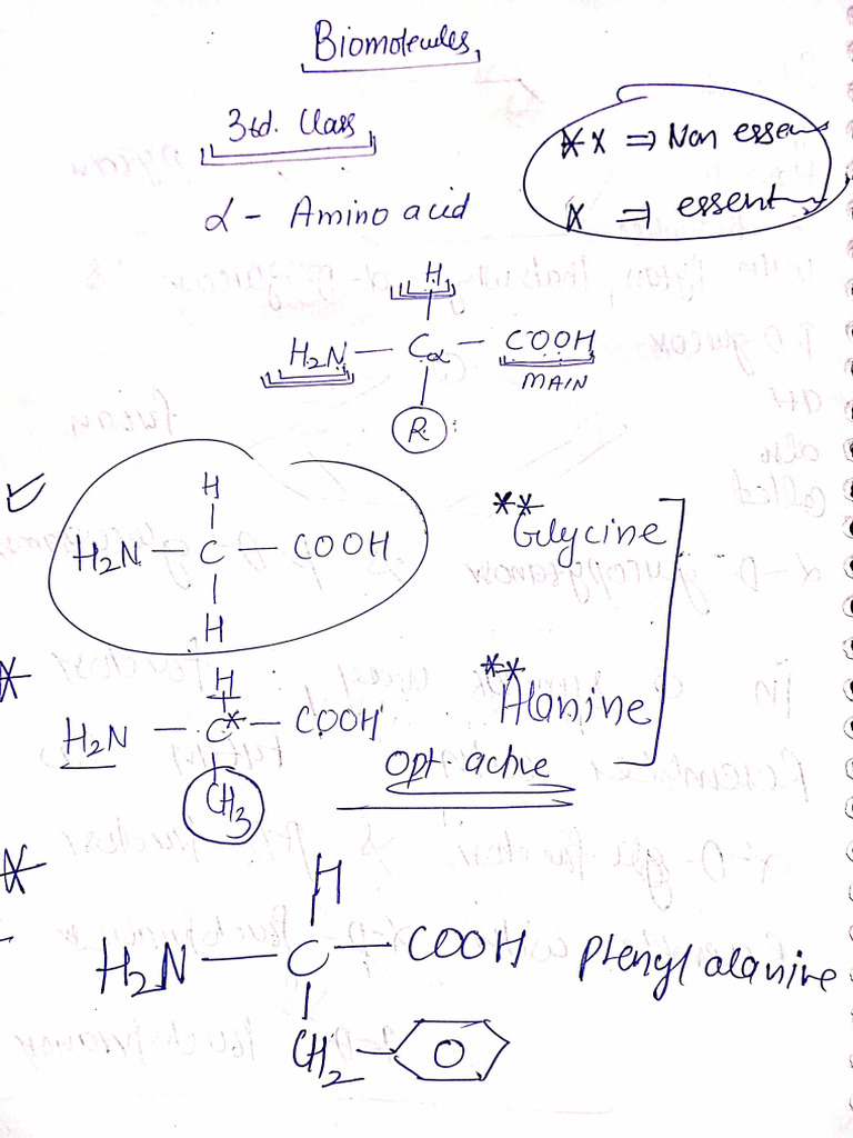 3 Biomolecules | PDF