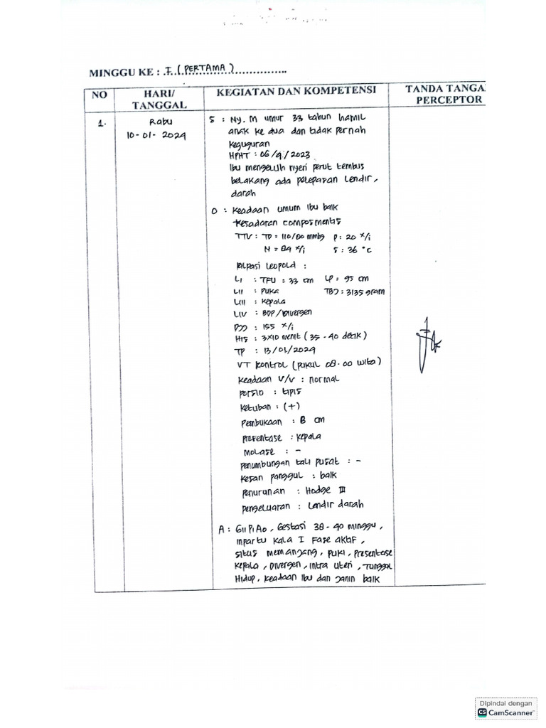 Contoh Target Persalinan | PDF