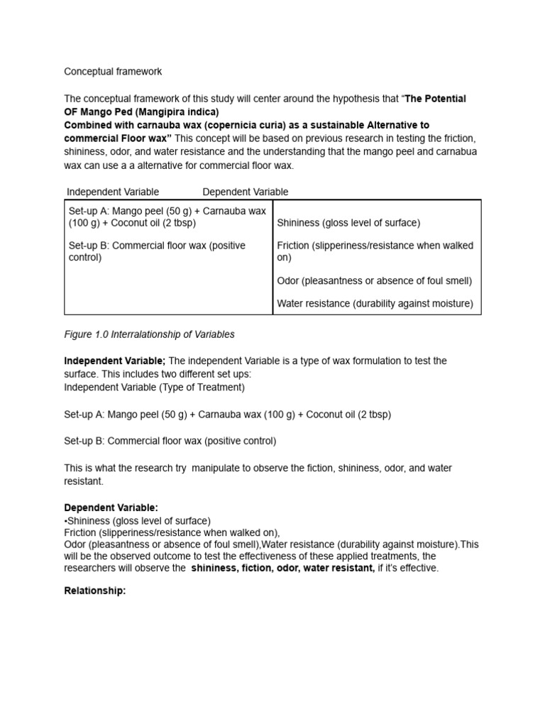 Conceptual Fram | PDF