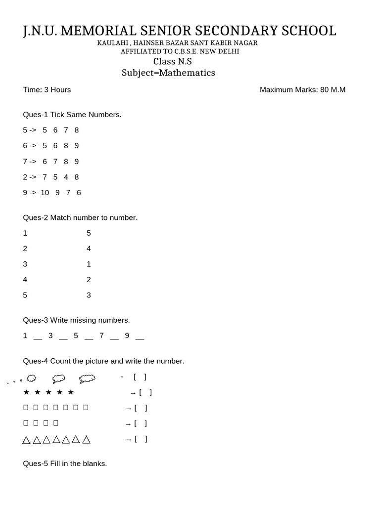 Class N.S Mathematics Worksheet | PDF