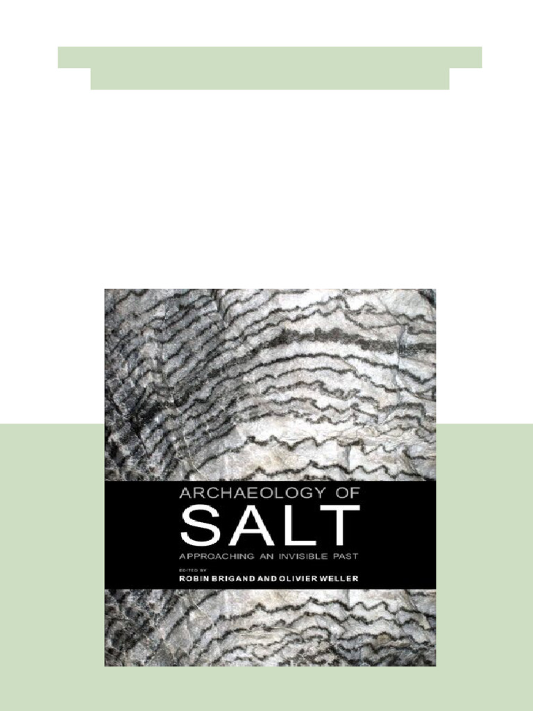 Archaeology of Salt Approaching An Invisible Past 1st Edition Robin ...