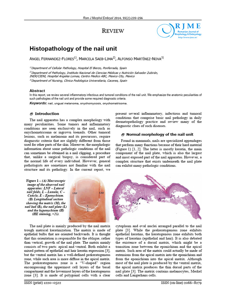 His To Pathology of The Nail Unit | PDF | Melanoma | Nail (Anatomy)