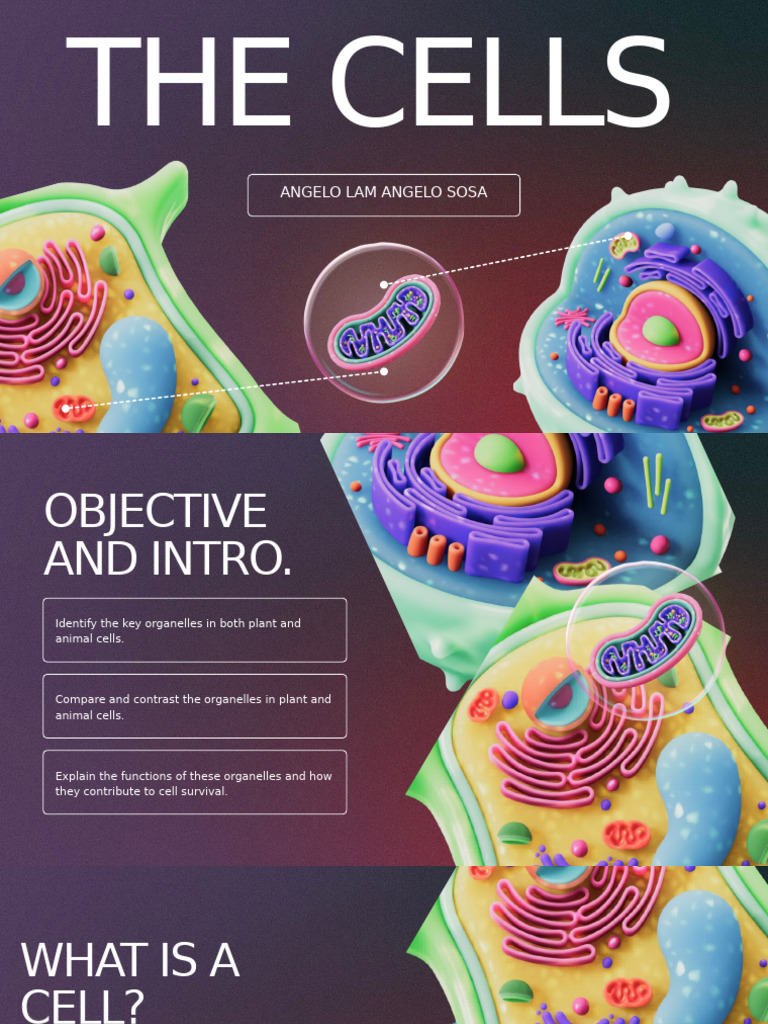 Exploring Plant Cell Organelles | PDF | Cell (Biology) | Endoplasmic ...