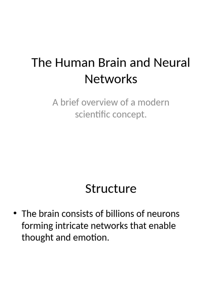 The Human Brain and Neural Networks | PDF