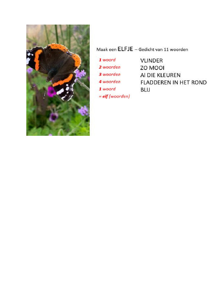 Voorbeeld Elfje | PDF