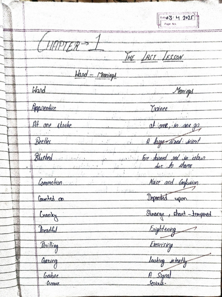 English Flamingo Ch. 1 and 2 With Poem | PDF