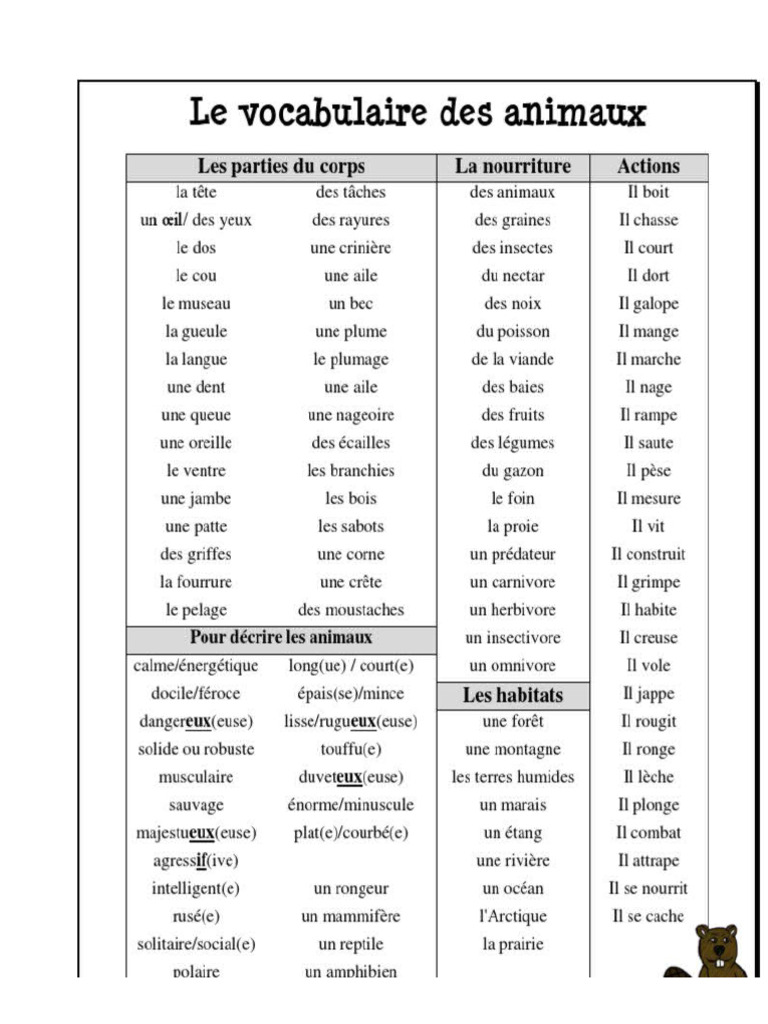Vocabulaire Animaux | PDF