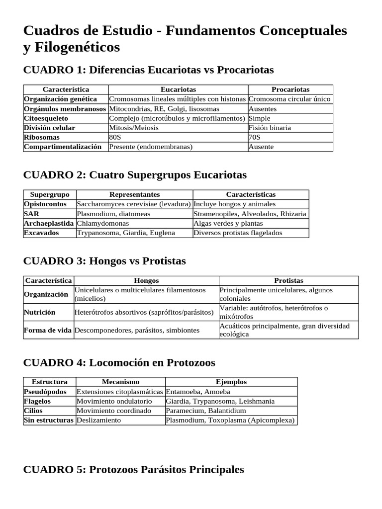 Cuadros de Estudio Eucariotas Dificil | PDF | Eucariotas | Biología