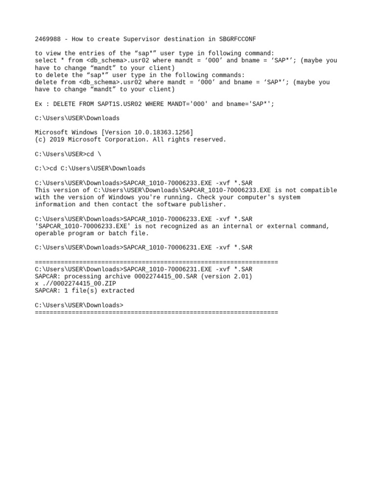 SAP HANA SAP Star User Deletion | PDF